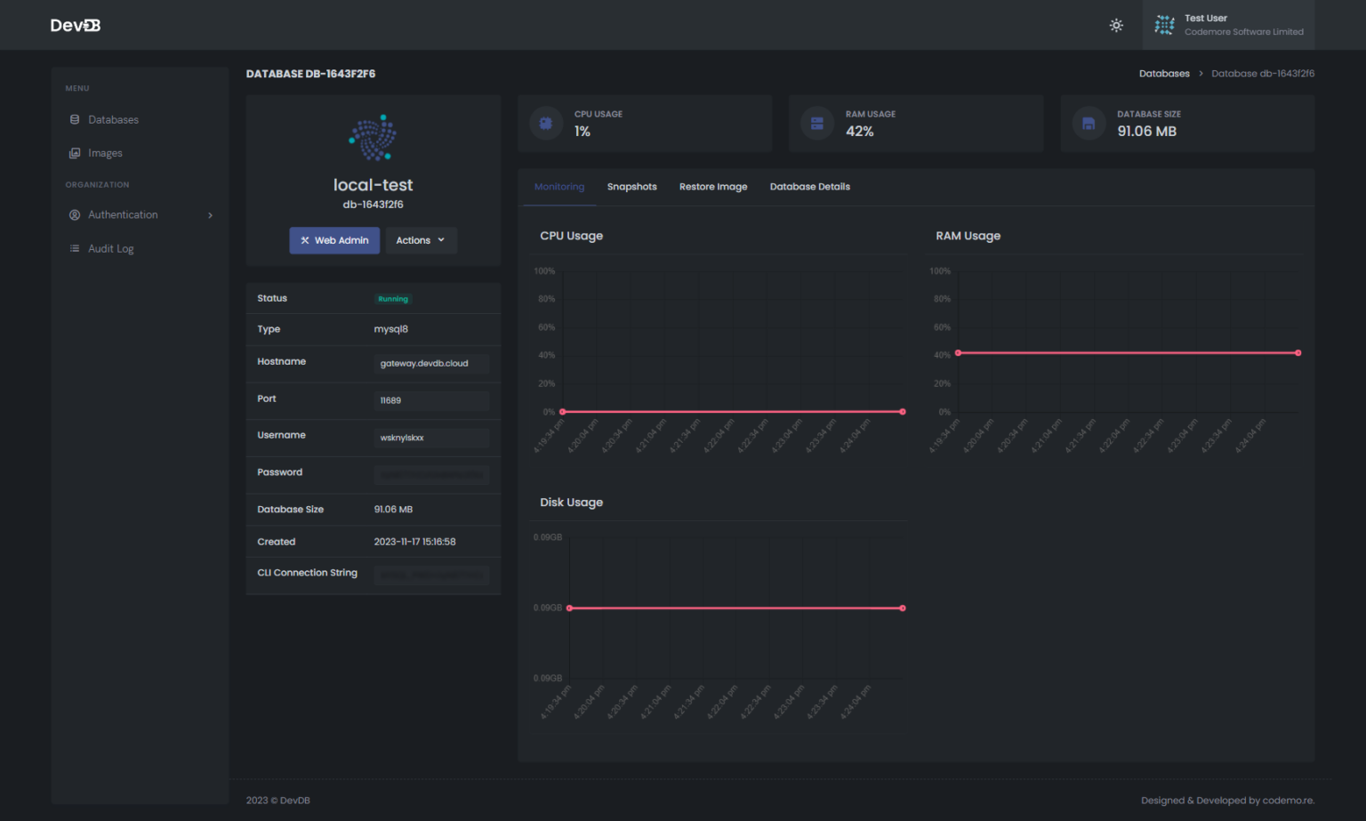 DevDB – Development Databases in a Flash